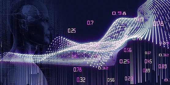 Role of Data Entry in Shaping up AI-enabled Systems