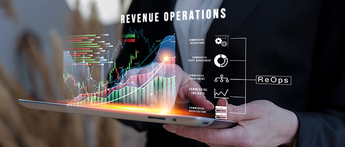Case Study on Data Validation For Real Estate Software Company